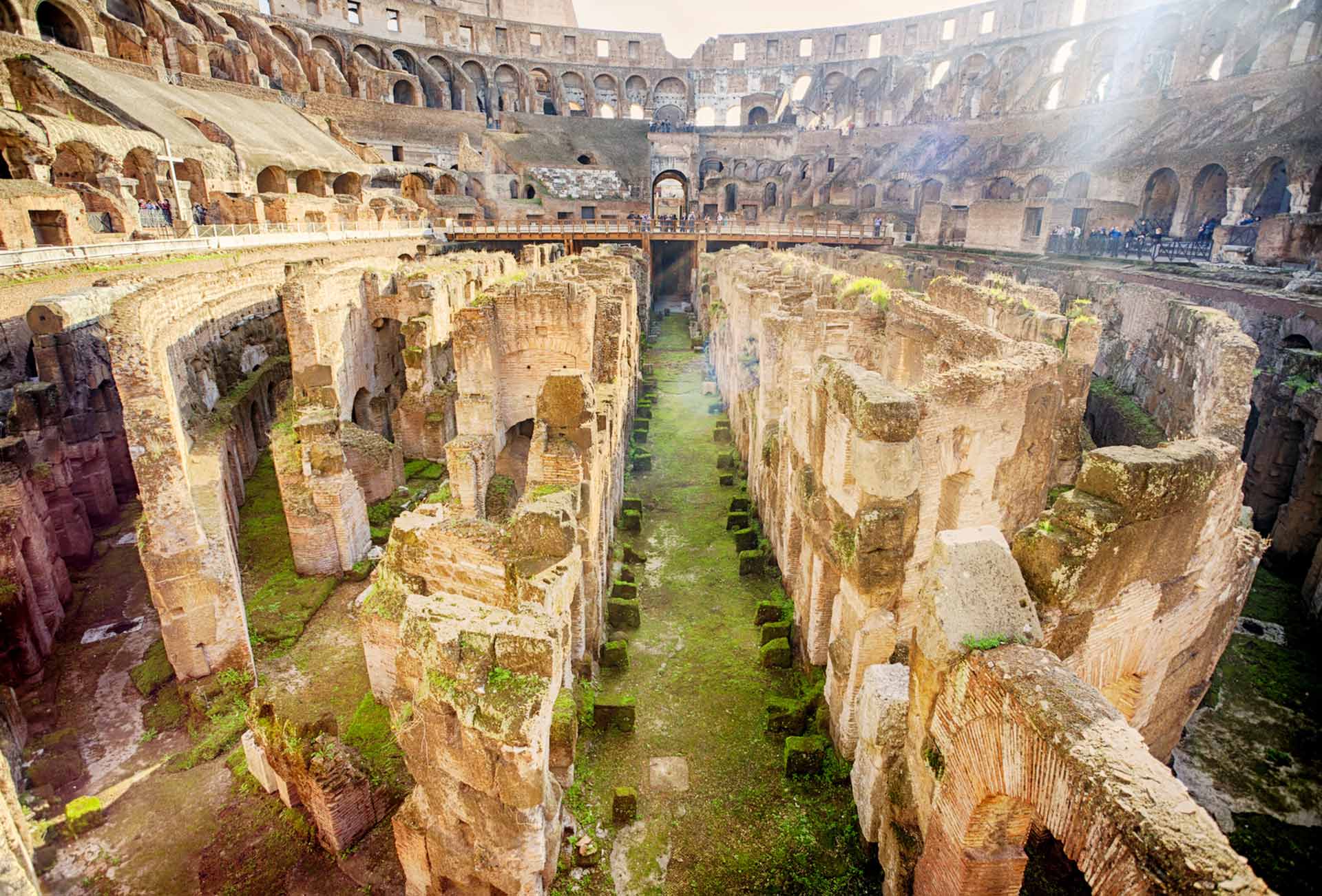 Ancient Colosseum Underground Tour With Gladiator s Arena Roman Forum